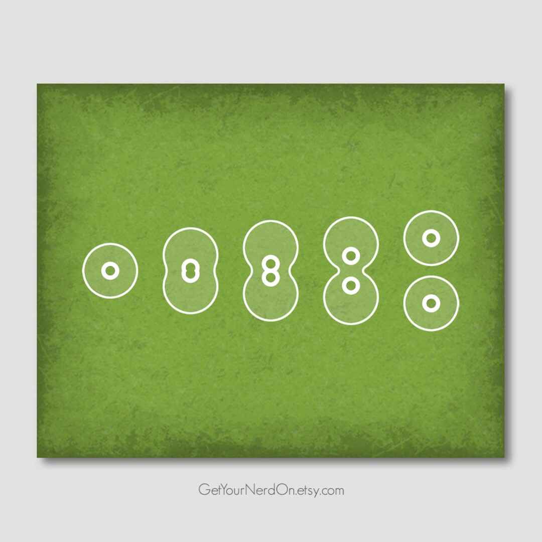 Cell Division Illustration, Minimalist Science Art Print, Unique ...