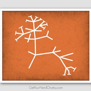 Darwins Tree of Life Poster, Science Classroom Print, Nerdy Home Decor ...