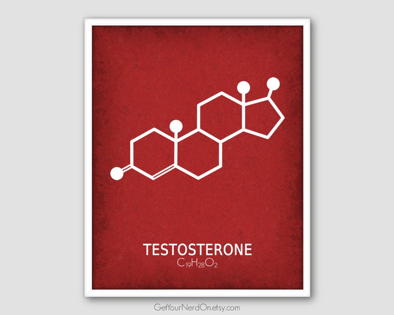 Testosterone Print Molecule Wall Art Science Nerd Art | Etsy