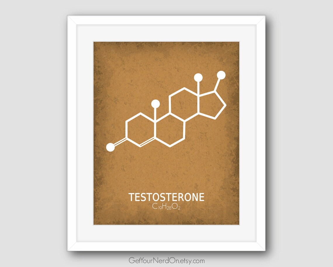 Testosterone Print Molecule Wall Art Science Nerd Art - Etsy