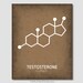 Testosterone Print Molecule Wall Art Science Nerd Art - Etsy