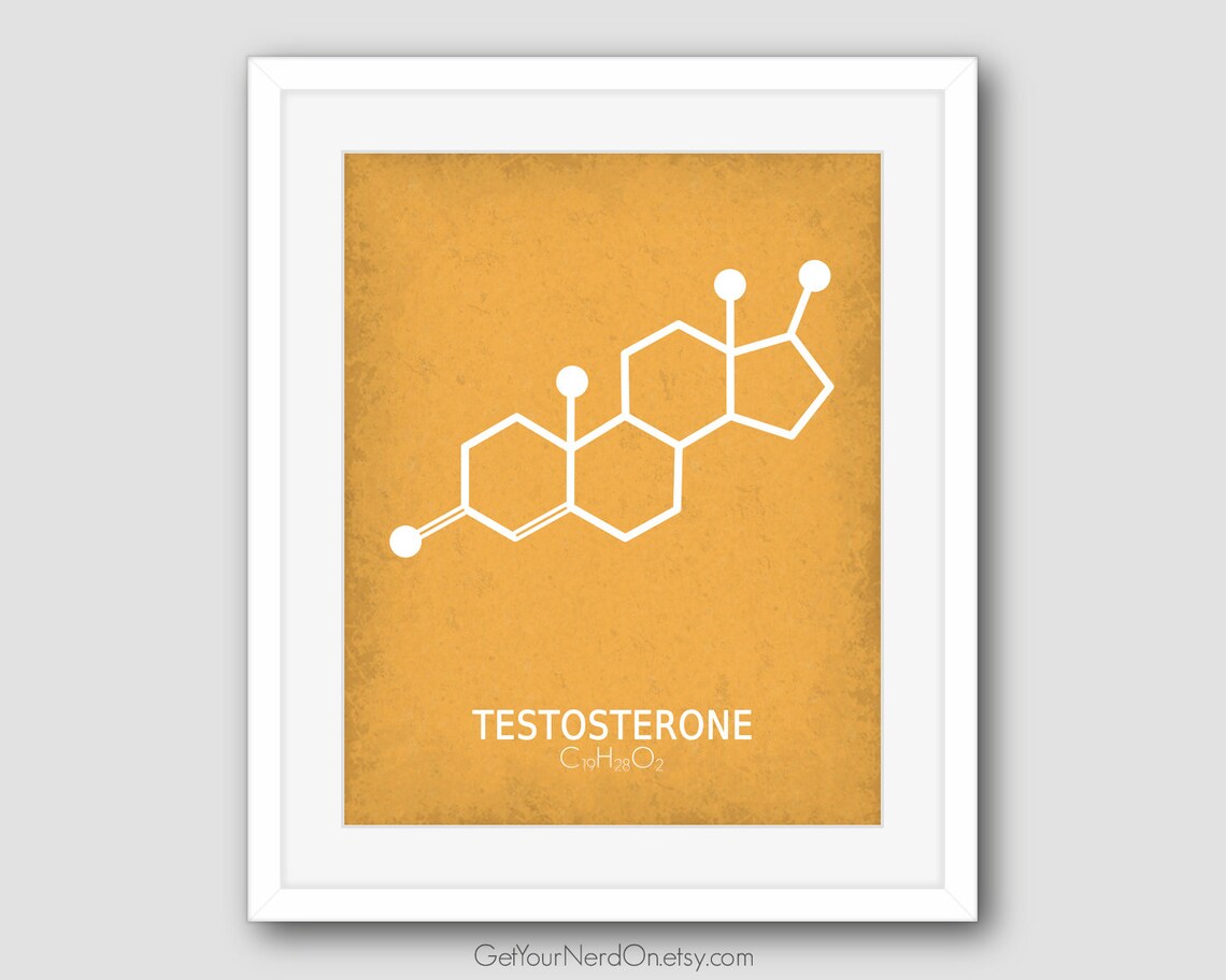 Testosterone Print Molecule Wall Art Science Nerd Art - Etsy