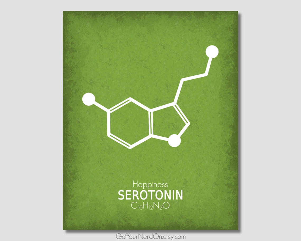 Serotonin Molecule Minimalist Nerd Art Science Geek Decor | Etsy