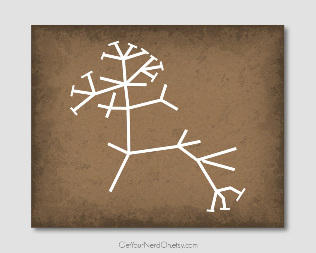Darwins Tree of Life Poster Science Classroom Print Nerdy - Etsy