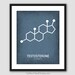 Testosterone Print Molecule Wall Art Science Nerd Art - Etsy