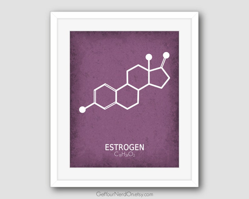 Estrogen Molecule Science Art Poster Biology Nerd Print - Etsy