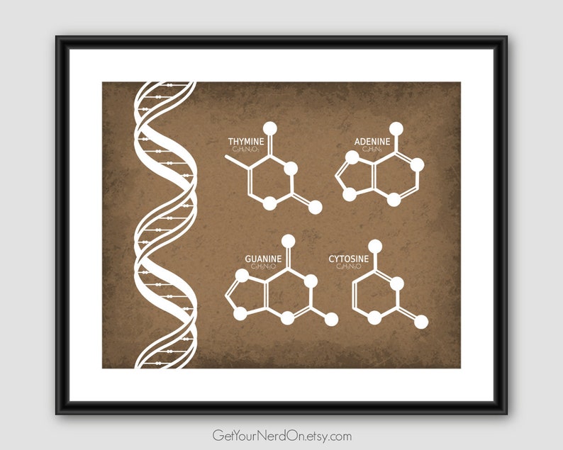 DNA Molecule Poster Double Helix Print Science Teacher Gift - Etsy