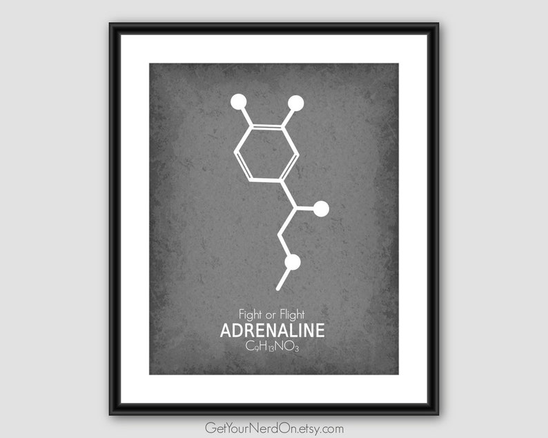 Adrenaline Molecule Minimalist Wall Art Chemistry Nerd | Etsy