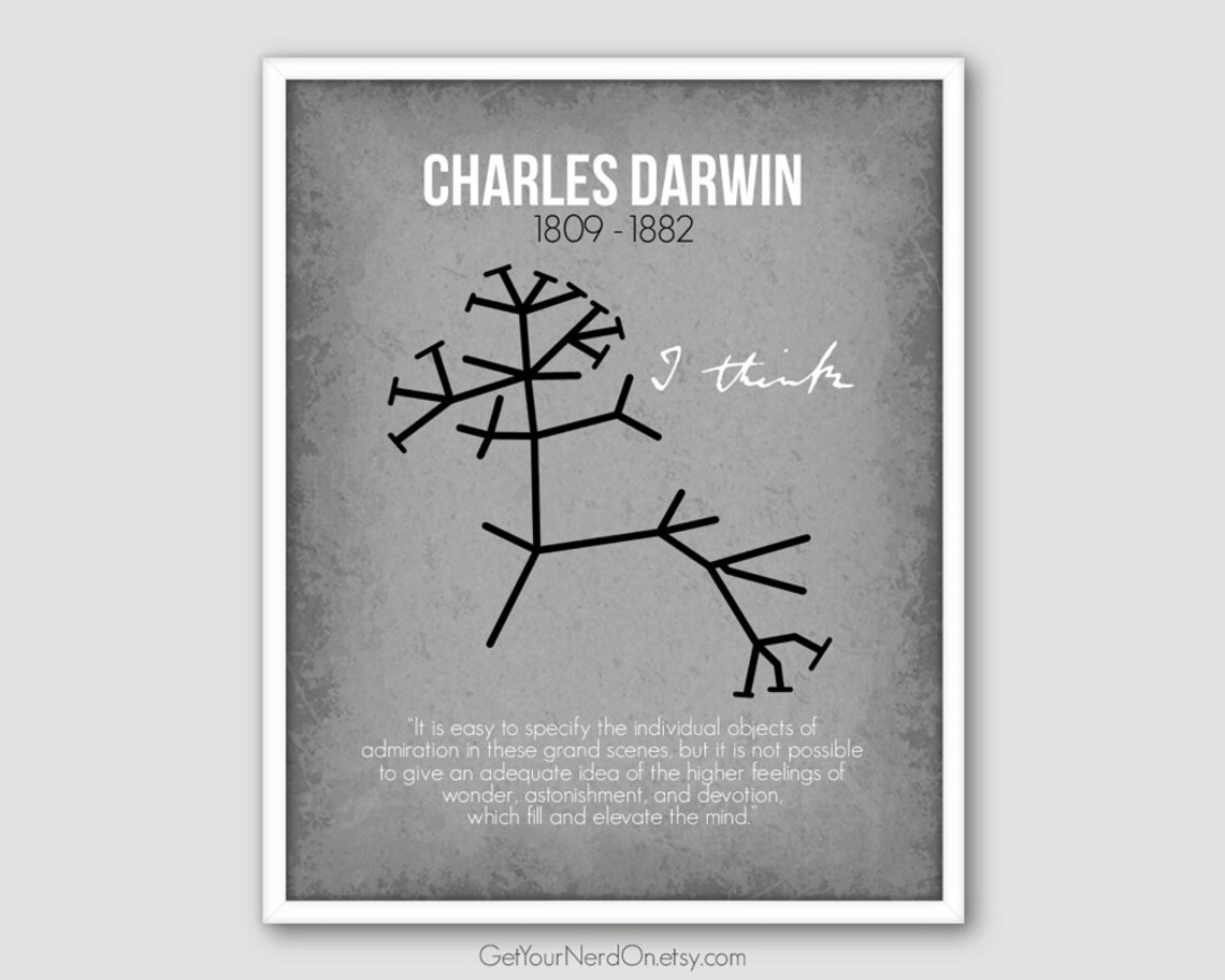 Charles Darwin Print Famous Scientist Minimalist Wall Art | Etsy