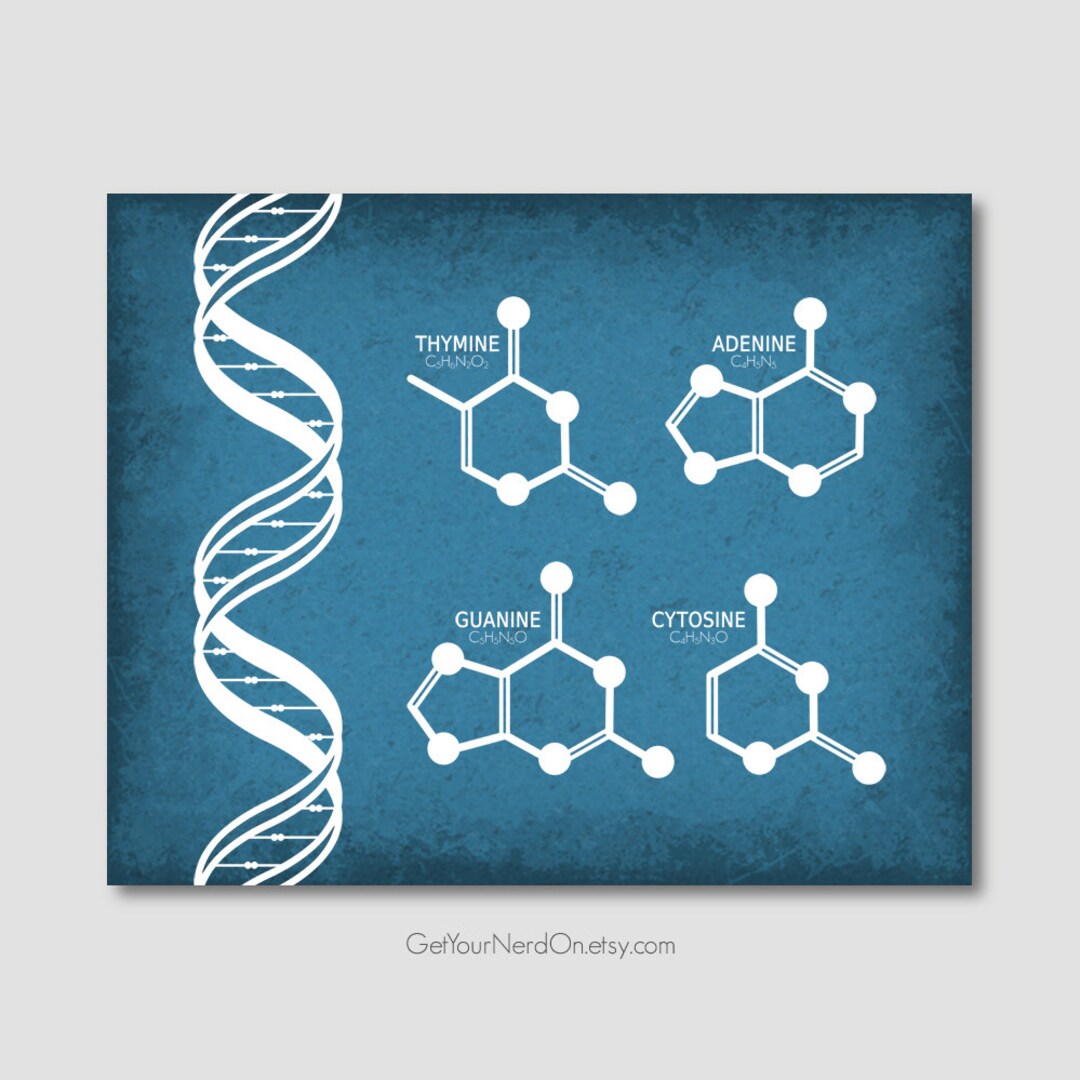 DNA Molecule Poster, Double Helix Print, Science Teacher Gift, Biology ...