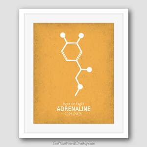 Adrenaline Molecule, Minimalist Wall Art, Chemistry Nerd Print, Science ...
