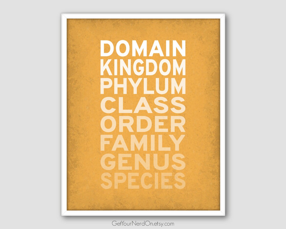 Taxonomy Poster Science Classroom Decor Family Genus - Etsy UK