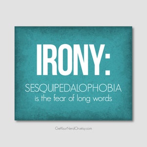 Funny Irony Poster Grammar Nerd Humor Gifts for Teachers - Etsy