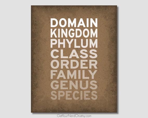 Taxonomy Poster Science Classroom Decor Family Genus - Etsy