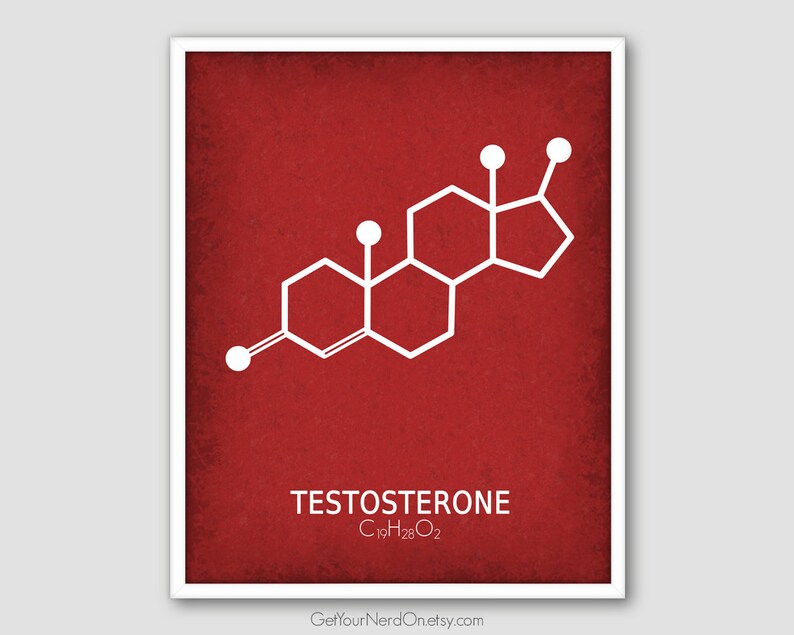 Testosterone Print Molecule Wall Art Science Nerd Art - Etsy