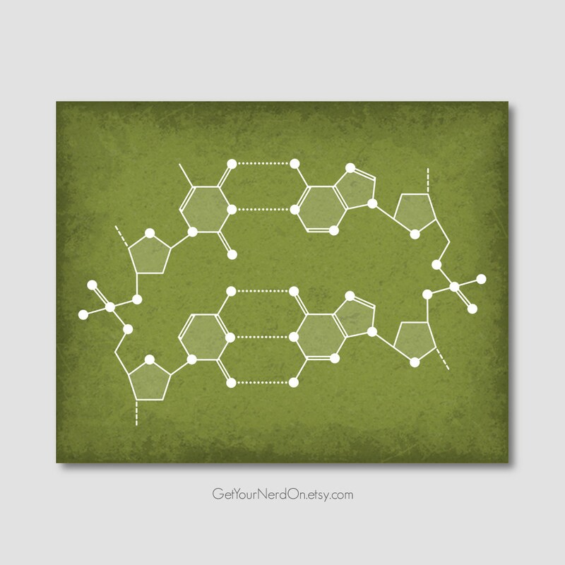 Molecular Structure - Etsy