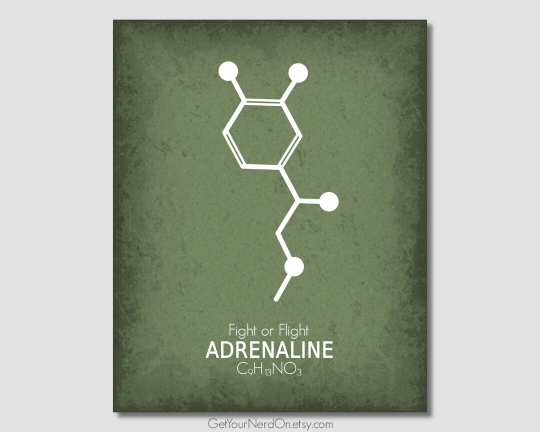 Adrenaline Molecule, Minimalist Wall Art, Chemistry Nerd Print, Science ...