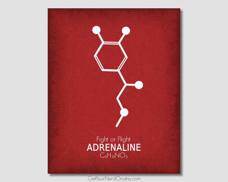 Adrenaline Molecule Minimalist Wall Art Chemistry Nerd | Etsy