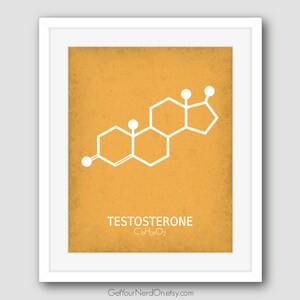 Testosterone Print Molecule Wall Art Science Nerd Art | Etsy