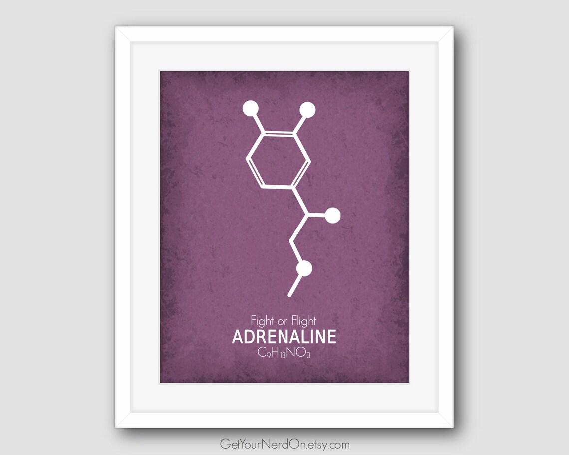 Adrenaline Molecule Minimalist Wall Art Chemistry Nerd - Etsy