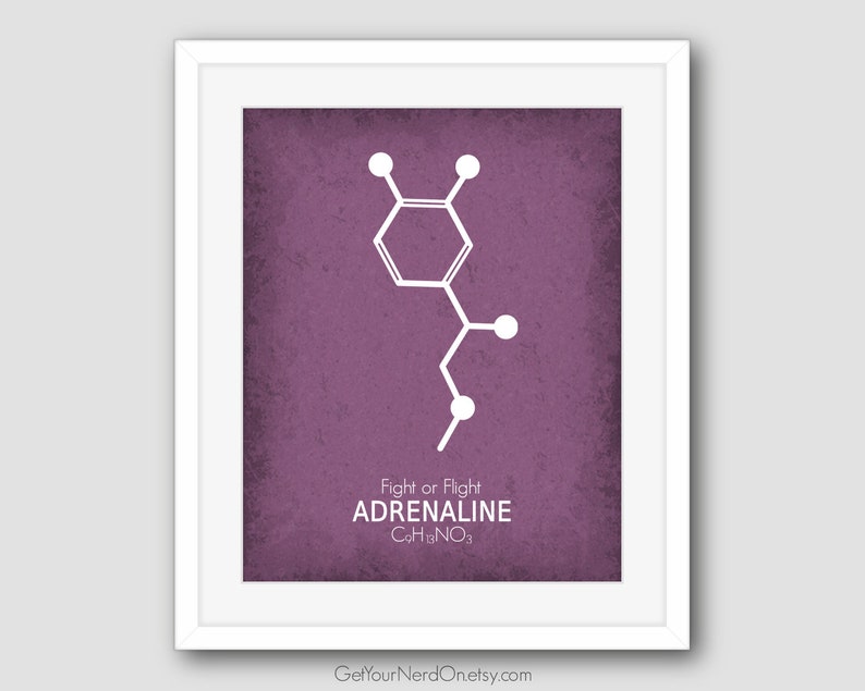 Adrenaline Molecule Minimalist Wall Art Chemistry Nerd | Etsy