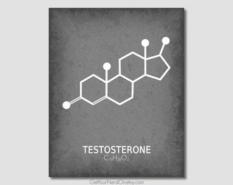 Male Hormone Poster - Etsy