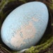 French Blue Chippy Easter Egg, Tiered Tray Decor, Easter Decor ...