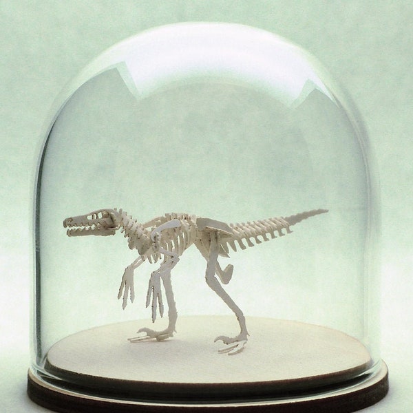 Tiny Skeleton - Etsy