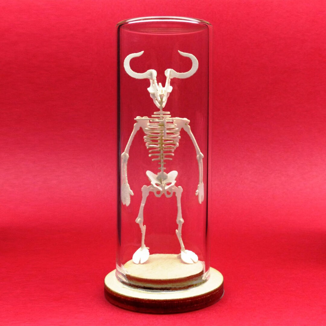 Minotaur Miniature Skeleton Deluxe Kit - Etsy