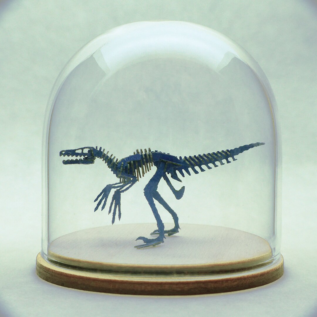 Blue Velociraptor Miniature Skeleton Deluxe Kit - Etsy