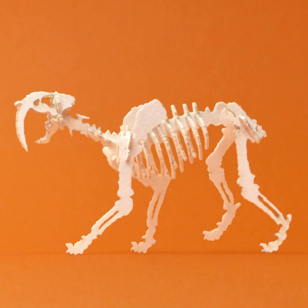Saber Tooth Mini Skeleton Bones - Etsy