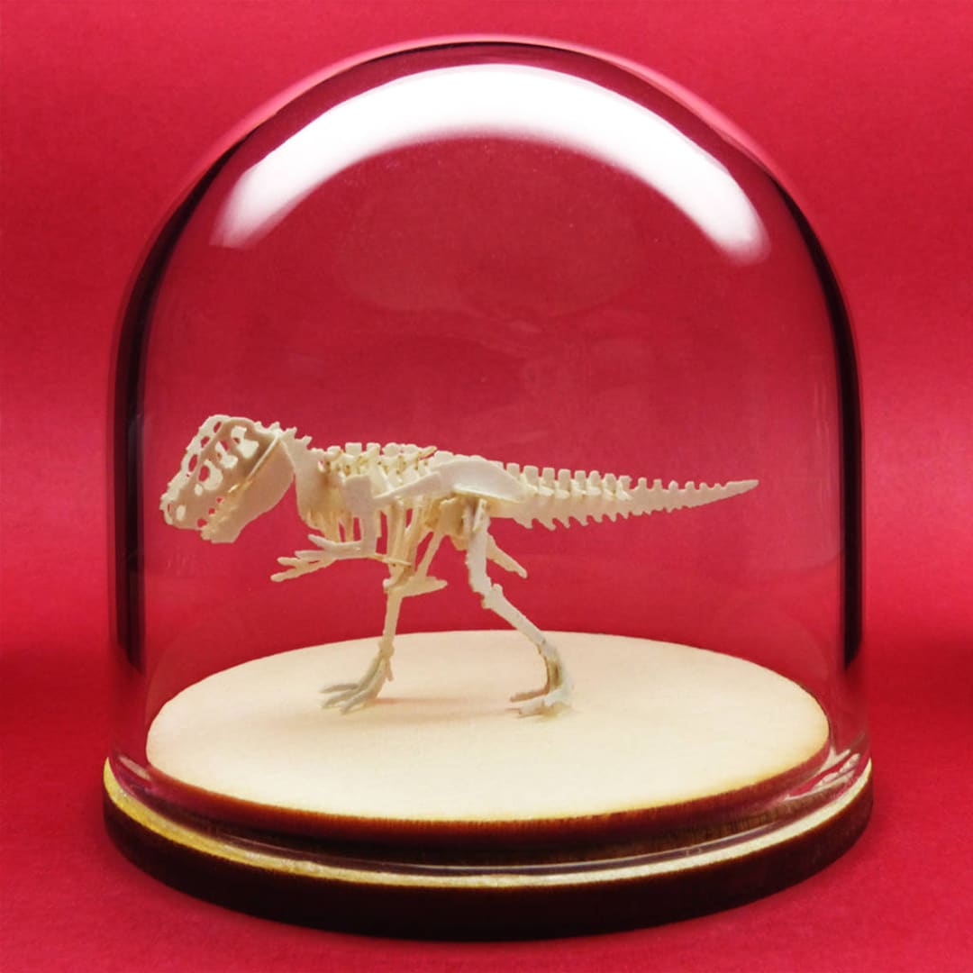 True Rex Miniature Skeleton Deluxe Kit Tyrannosaurus T-rex - Etsy