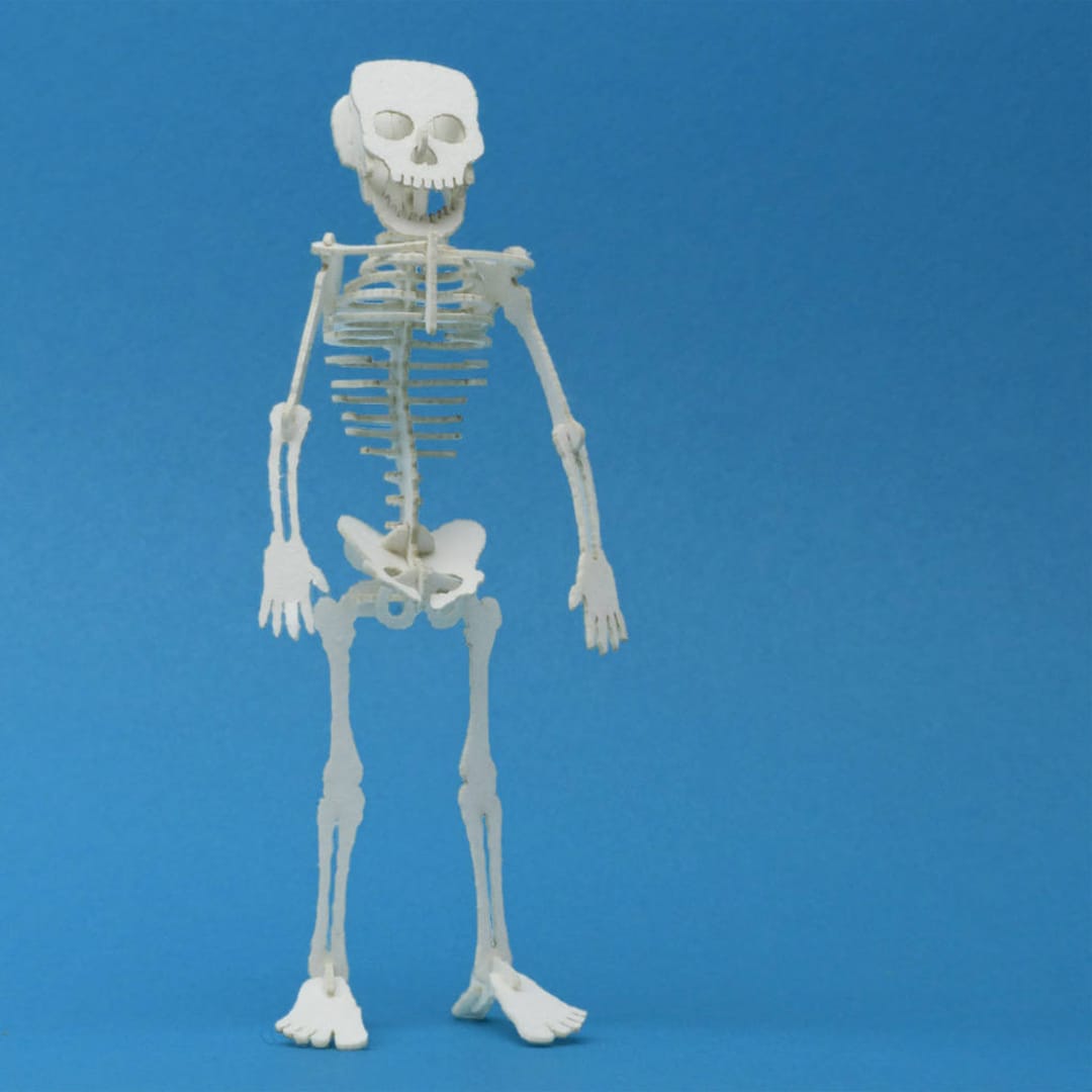 Tiny Human Mini Skeleton Bones - Etsy