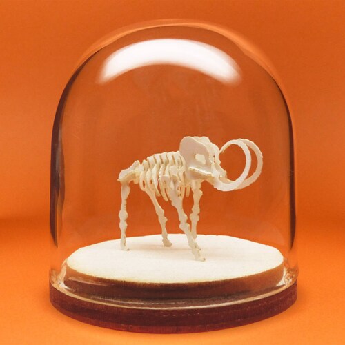 Tiny Human Miniature Skeleton Deluxe Kit - Etsy