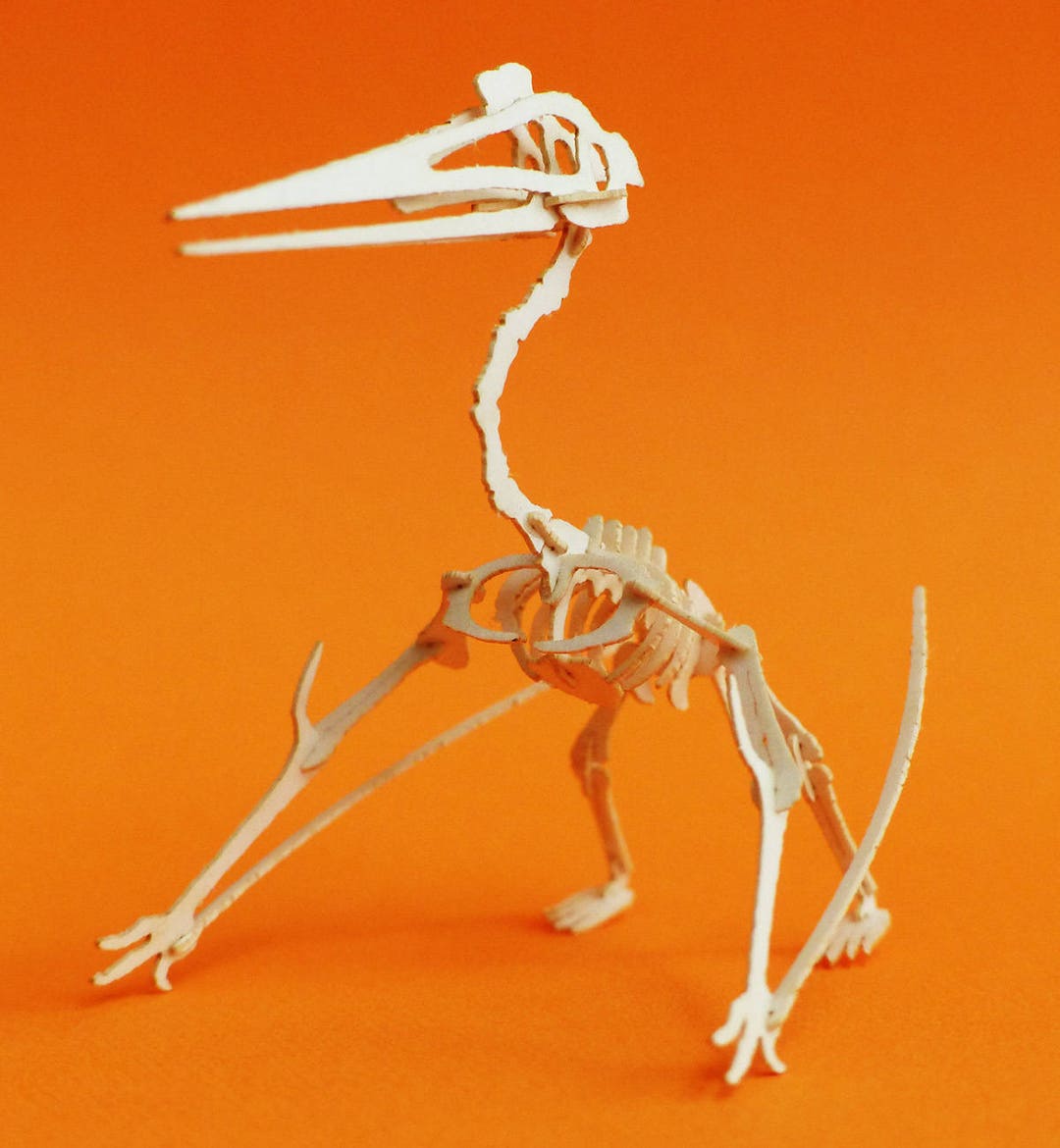 Quetzalcoatlus Mini Skeleton Bones - Etsy