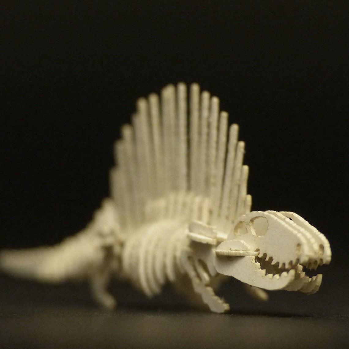 Dimetrodon Miniature Skeleton Deluxe Kit | Etsy