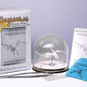 Pterodactyl Miniature Skeleton Deluxe Kit - Etsy