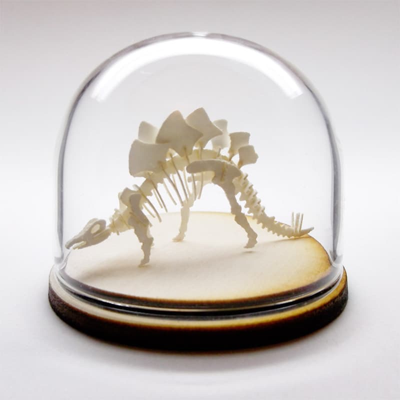 Glass Dome Display - Etsy