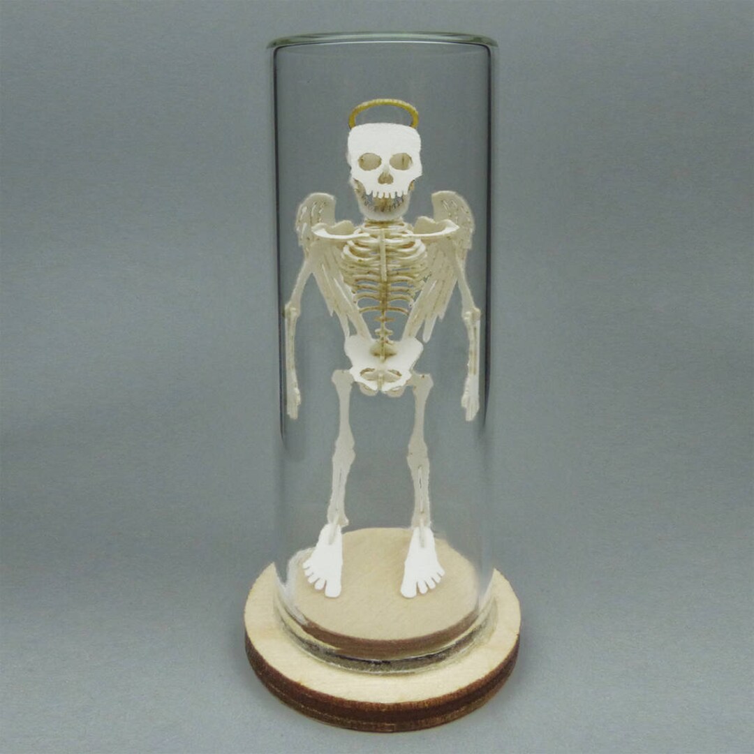 Angel Miniature Skeleton Deluxe Kit - Etsy