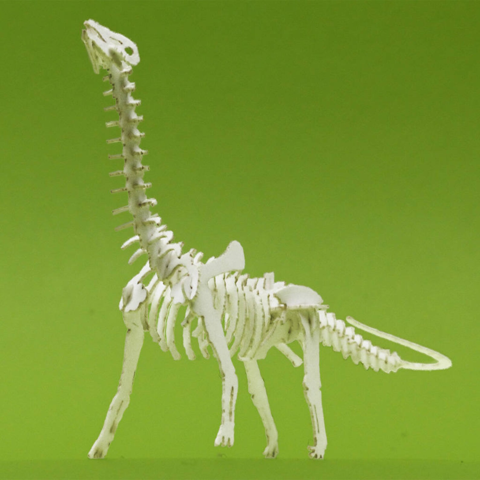 Brontosaurus Miniature Skeleton Deluxe Kit - Etsy
