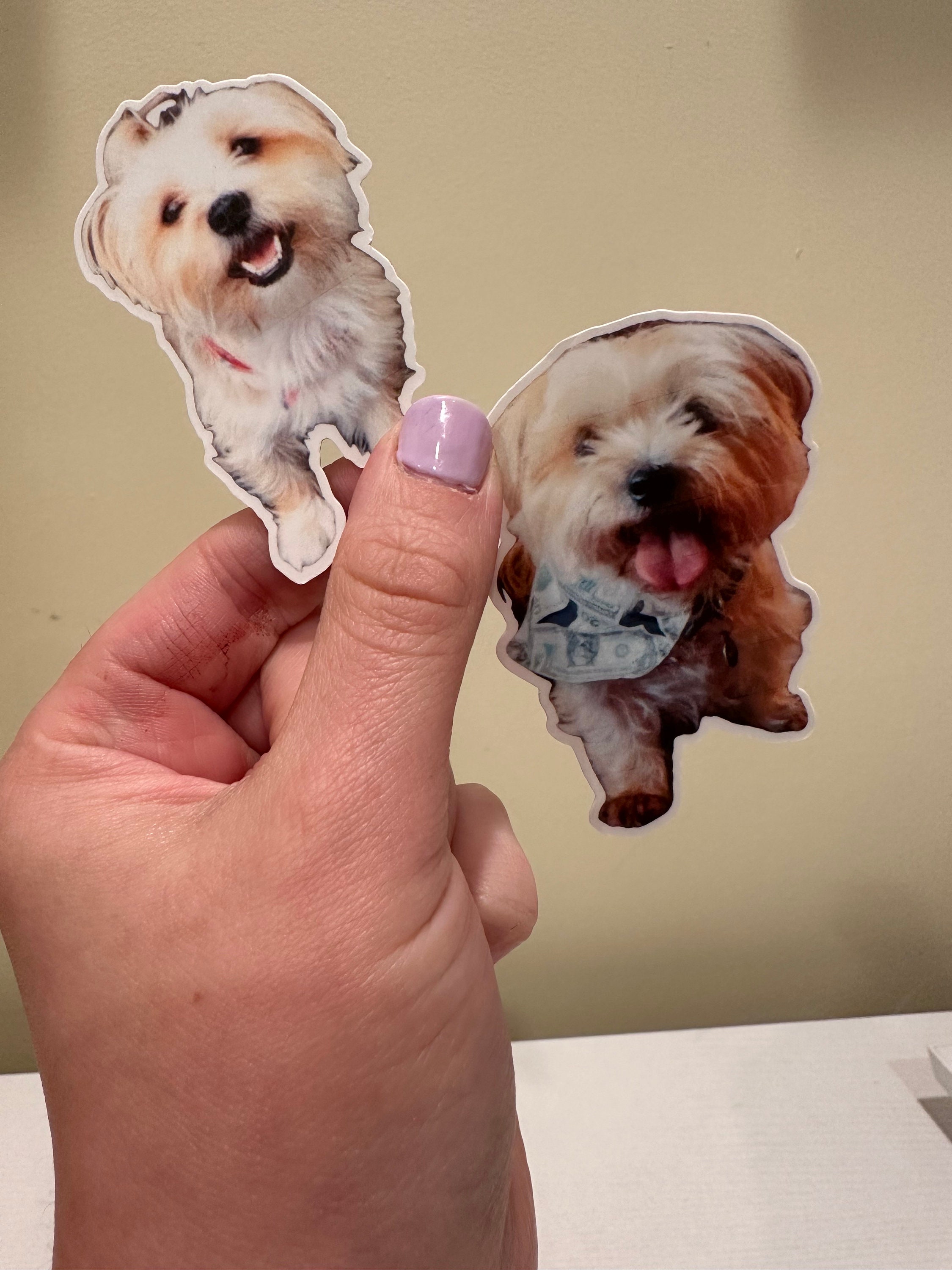 Personalized Pet Sticker, Pet Photo Sticker, Custom Pet Sticker, Dog ...