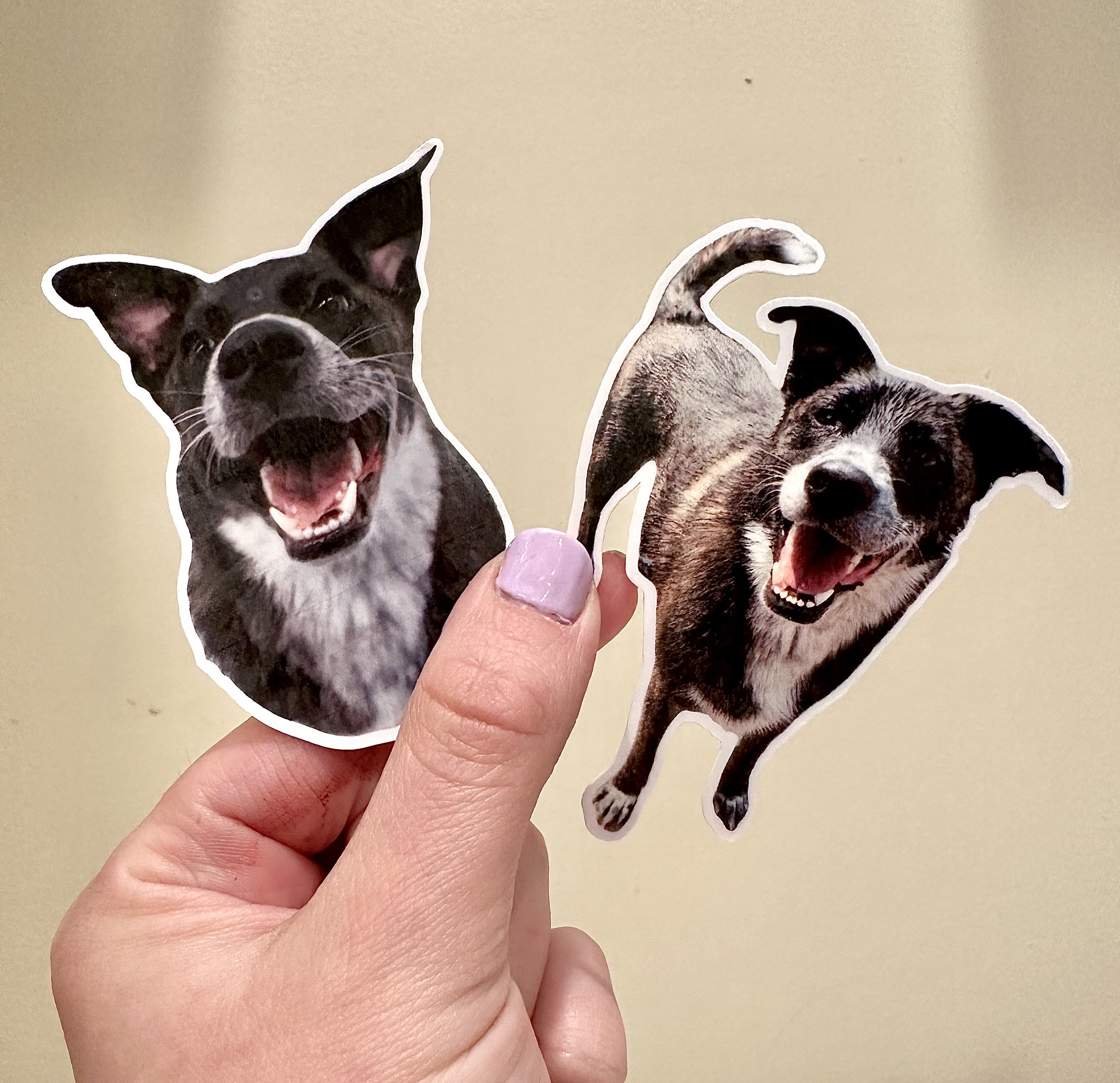 Personalized Pet Sticker, Pet Photo Sticker, Custom Pet Sticker, Dog ...