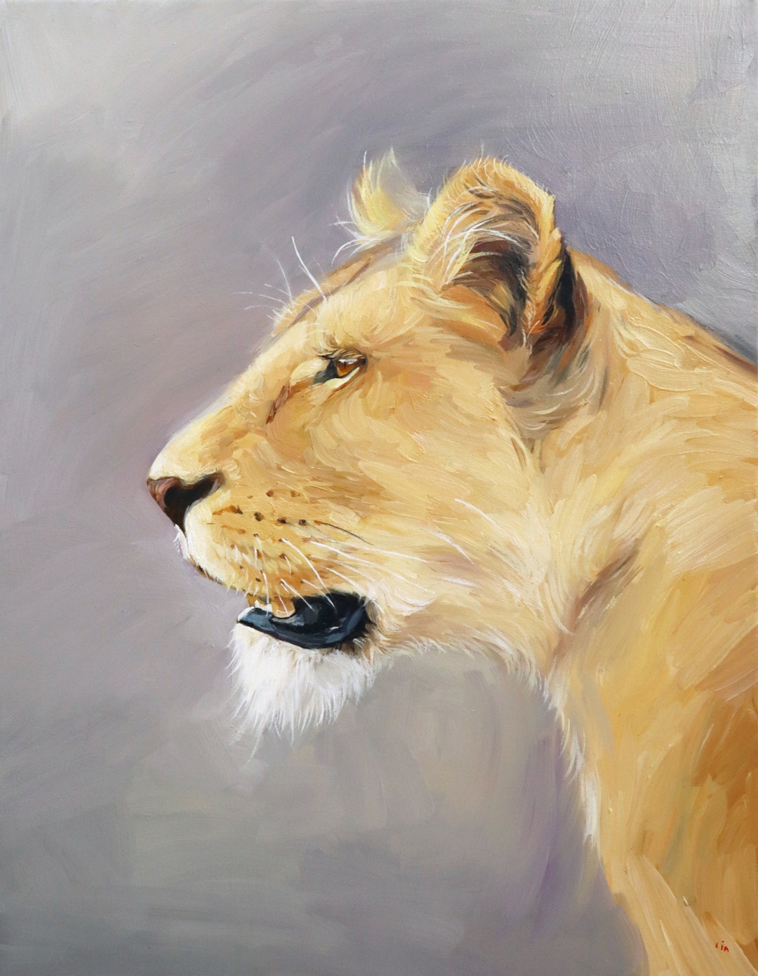 Lioness Oil Painting on Canvas, Lions Paintings, Lion Art, Gift Idea ...