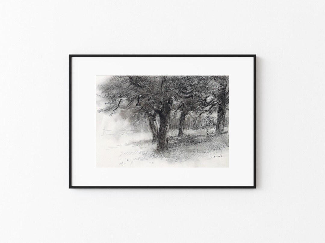 Original Charcoal Tree Drawing: Monochrome Italian Art (A4) - Etsy