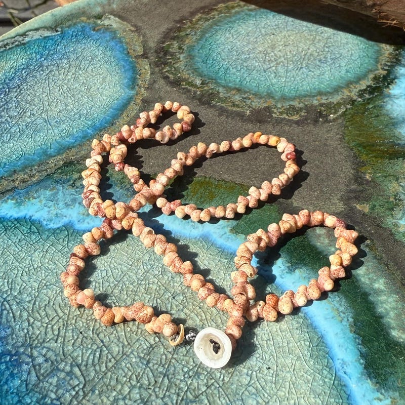 Kahelelani Shells - Etsy