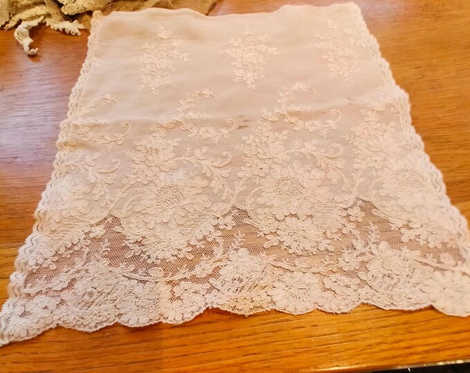 Antique Victorian Lace Modesty or Dress Insert With Embroidered Needle ...
