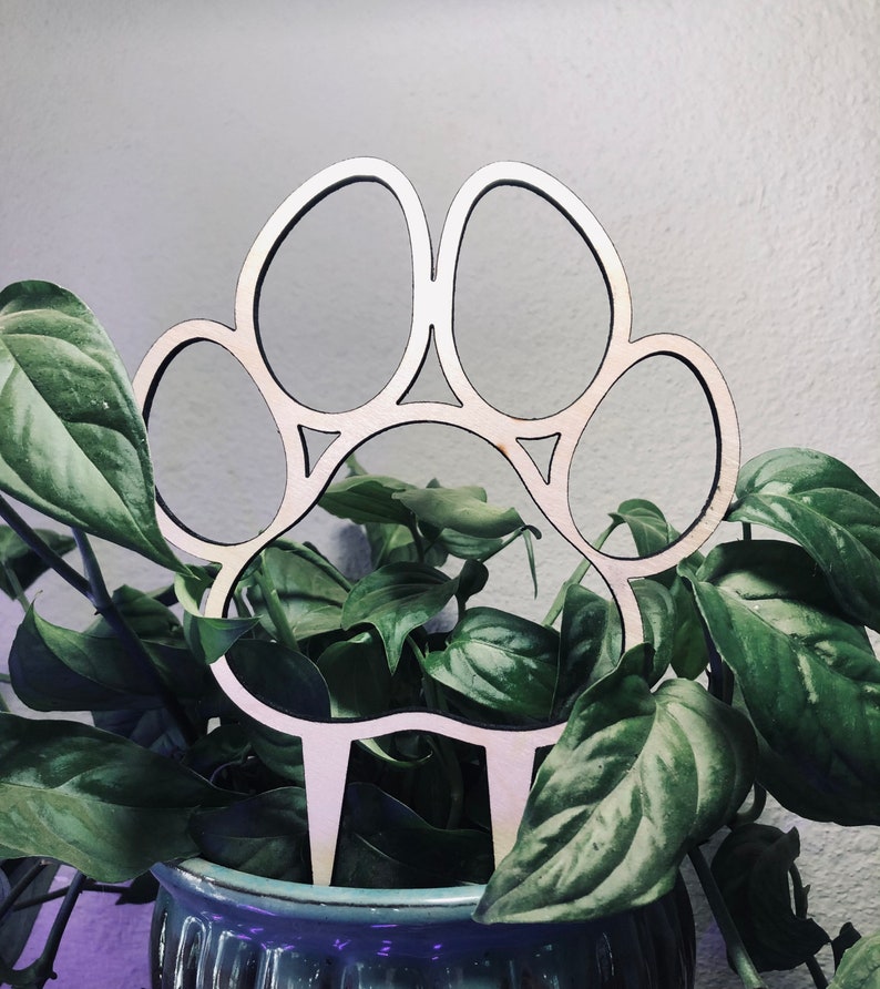 Dog Paw Plant Trellis Cute Plant Decoration Monstera Stake | Etsy