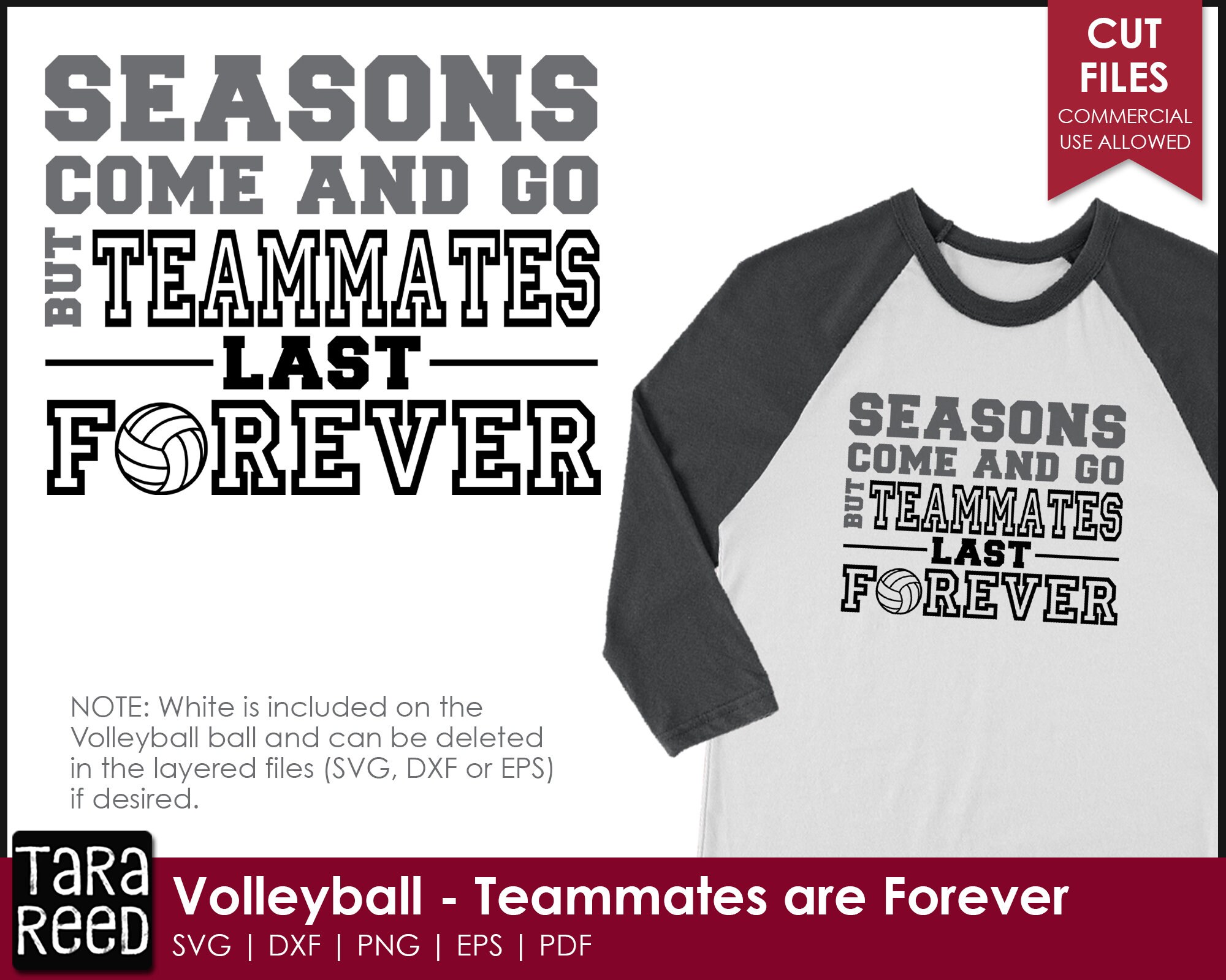 Volleyball Teammate Quotes