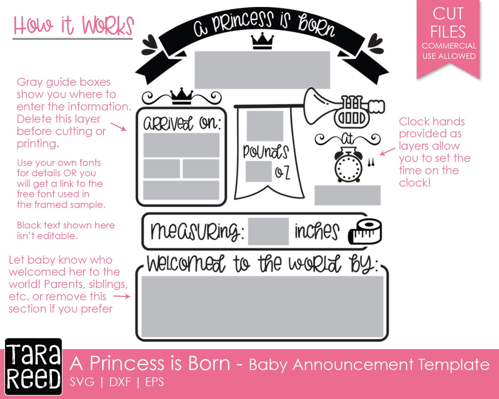 A Princess is Born Baby Stats SVG and Cut Files for Crafters | Etsy