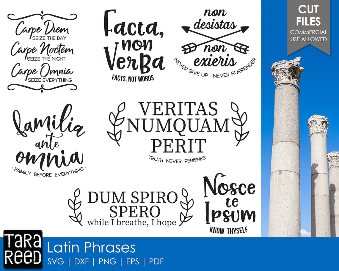 Latin Phrases SVG and Cut Files for Crafters | Etsy